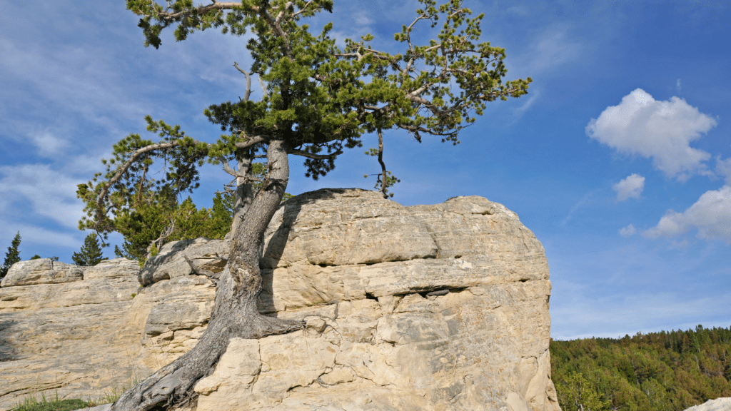 Christian Views on Life After Death - Life Purpose Matters